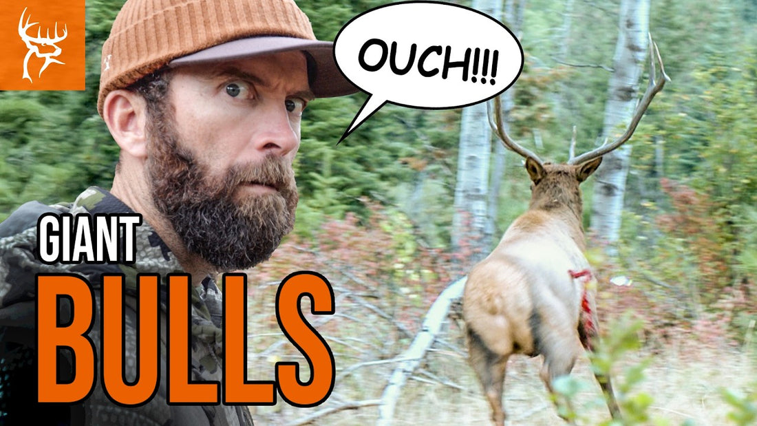 Watch – Buck Commander